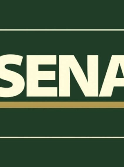 SENAR-MG oferece cursos gratuitos em Araponga, Pedra do Anta, São ...