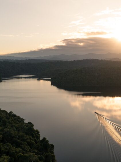 Parque Estadual do Rio Doce alcança marco histórico e supera recorde de ...